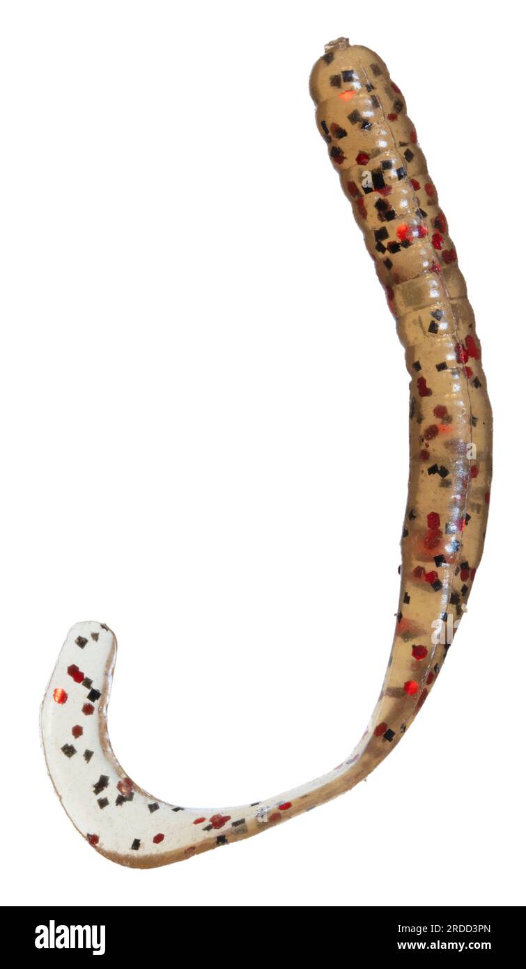 Dead dead bait in fishing Cut Out Stock Images & Pictures - Alamy