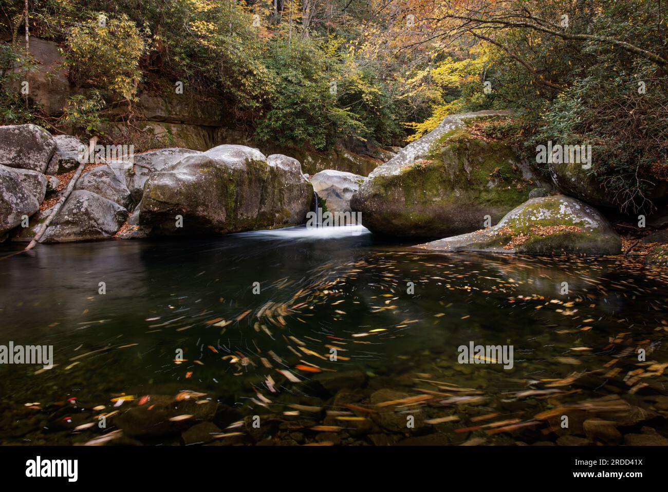 Autumn leaves define swirling water at Midnight Hole on Big Creek Stock ...