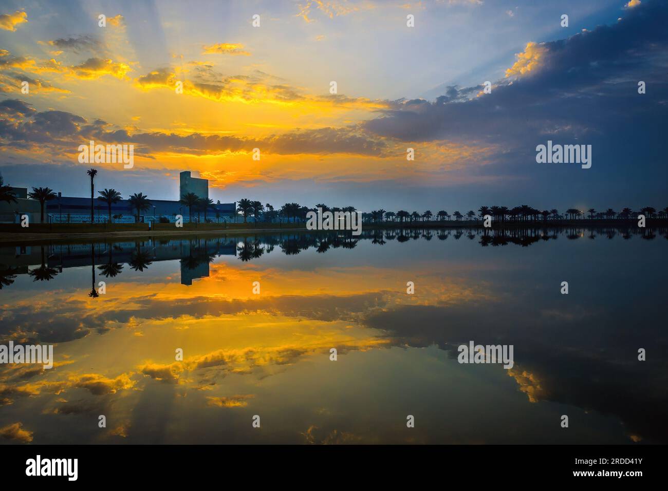 Modon Lake Morning Sunrise view -Dammam, Saudi Arabia Stock Photo - Alamy