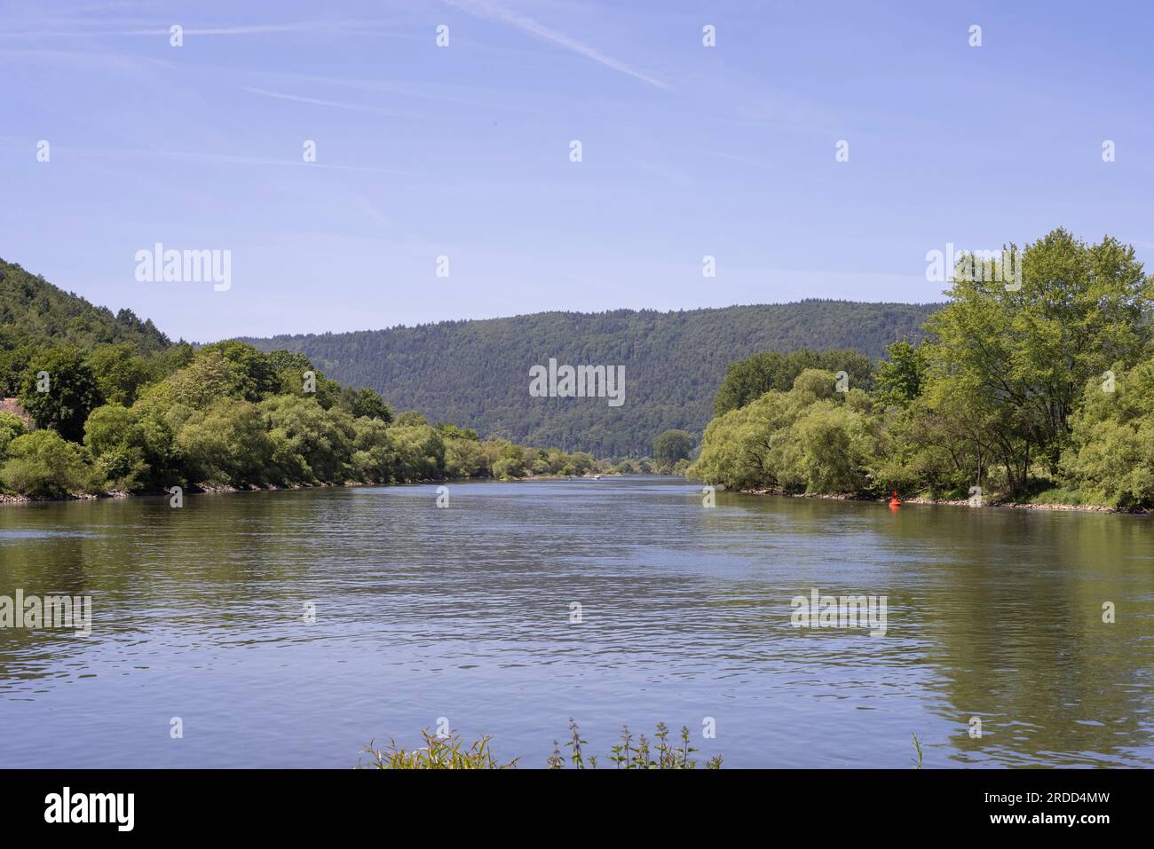big river with trees in the mountains Stock Photo - Alamy