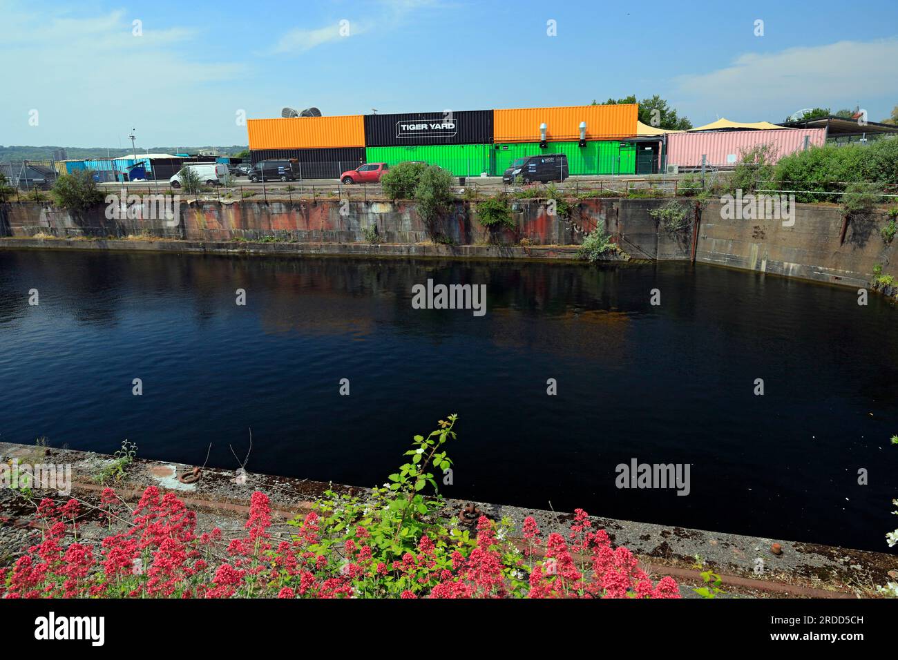 Tiger yard hi-res stock photography and images - Alamy