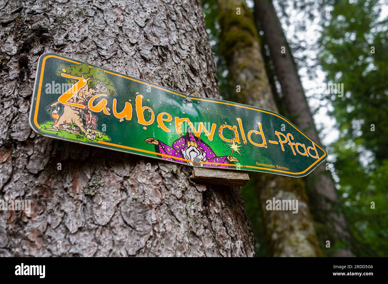 Zauberwald hi-res stock photography and images - Alamy