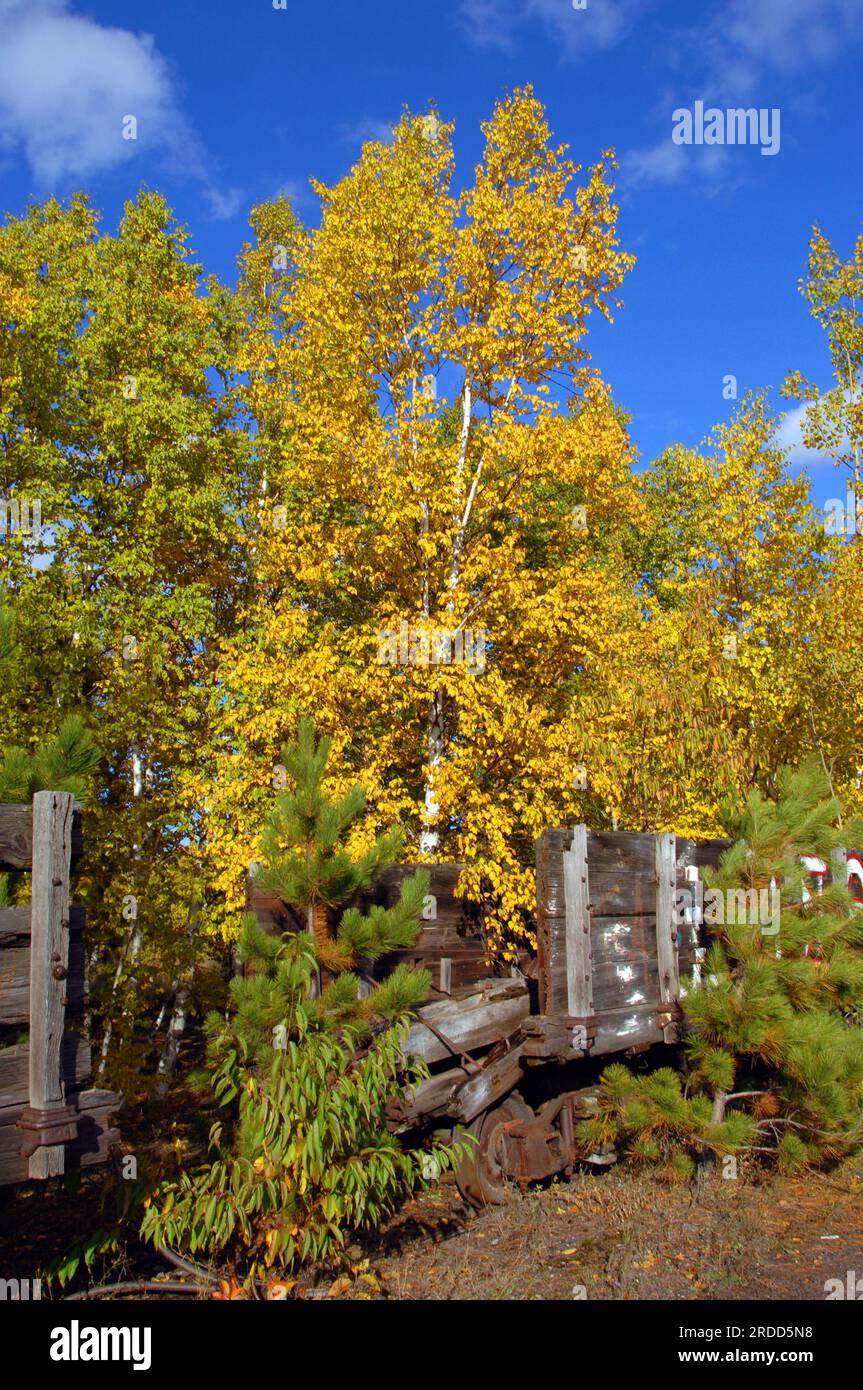 Above the old Quincy Copper Mine, old abandoned, wooden, ore cars hide ...