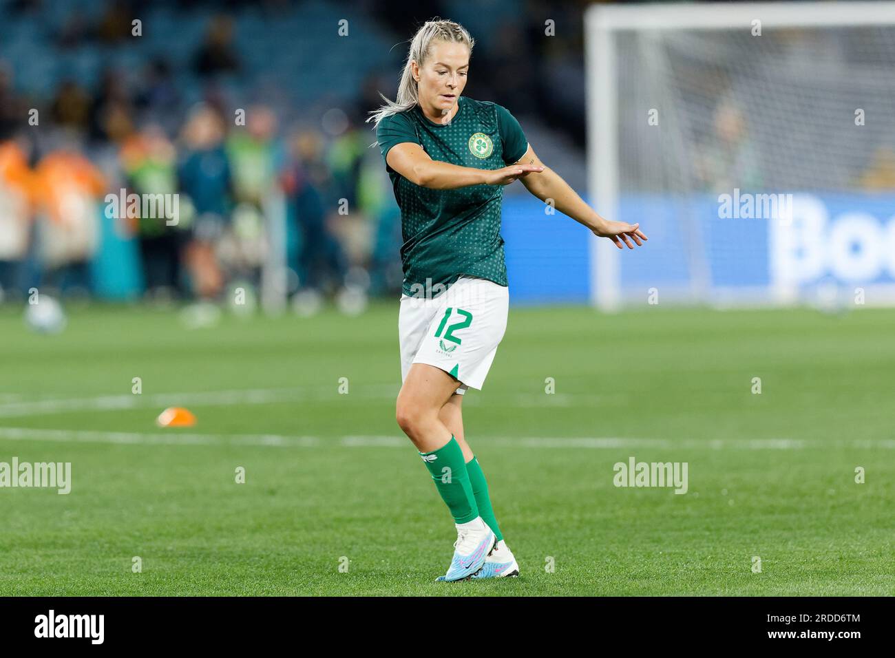 Football lily hi-res stock photography and images - Alamy