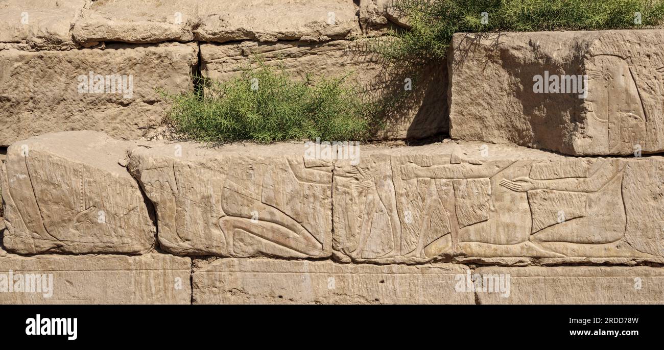 Circumcision scene at the Precinct of Mut, at Karnak Temple, Luxor ...
