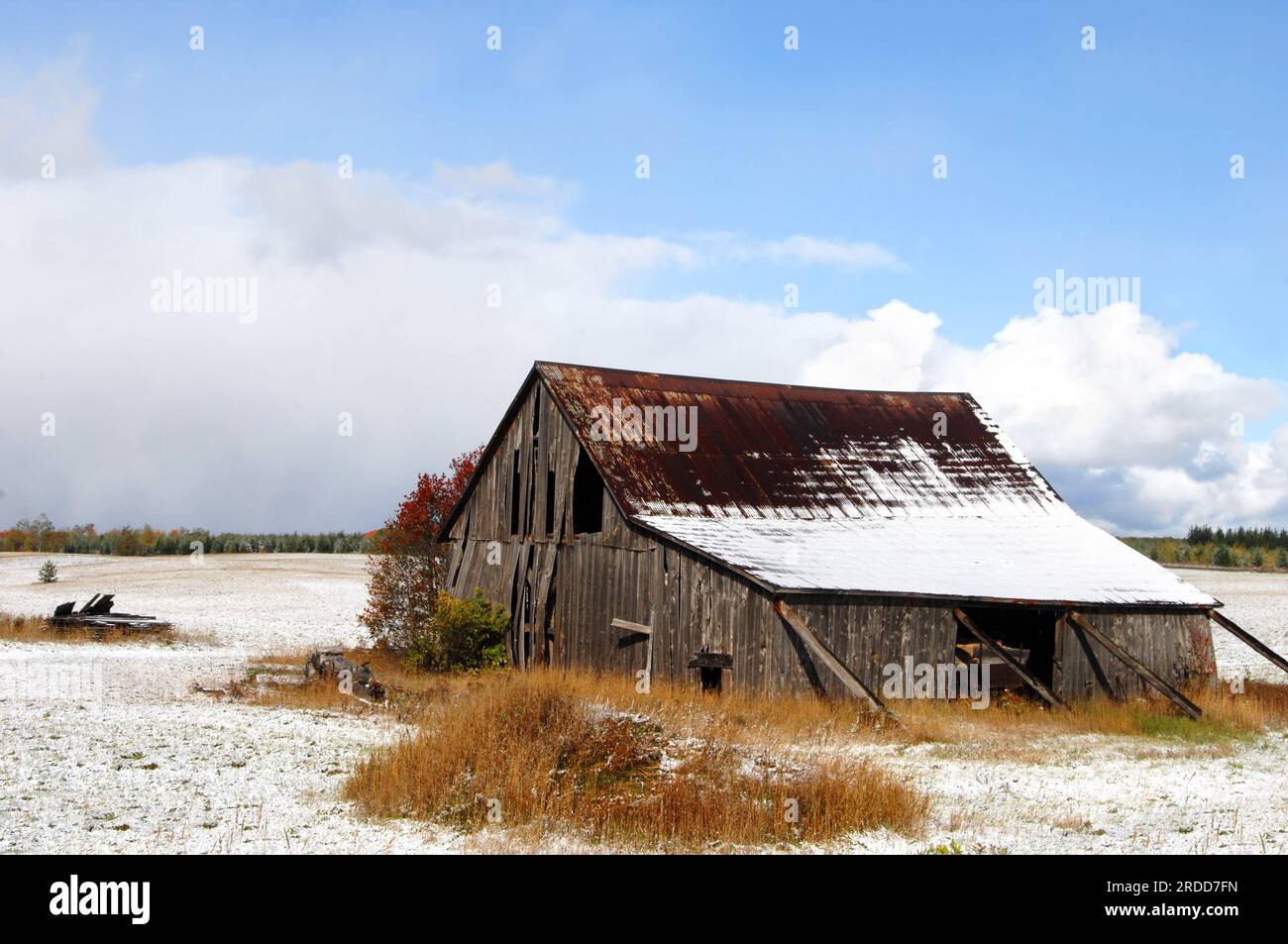Agriculture bygone days is illustrated by this wooden barn propped up ...