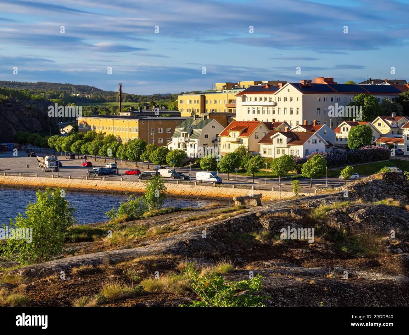 2023 golden hi-res stock photography and images - Alamy