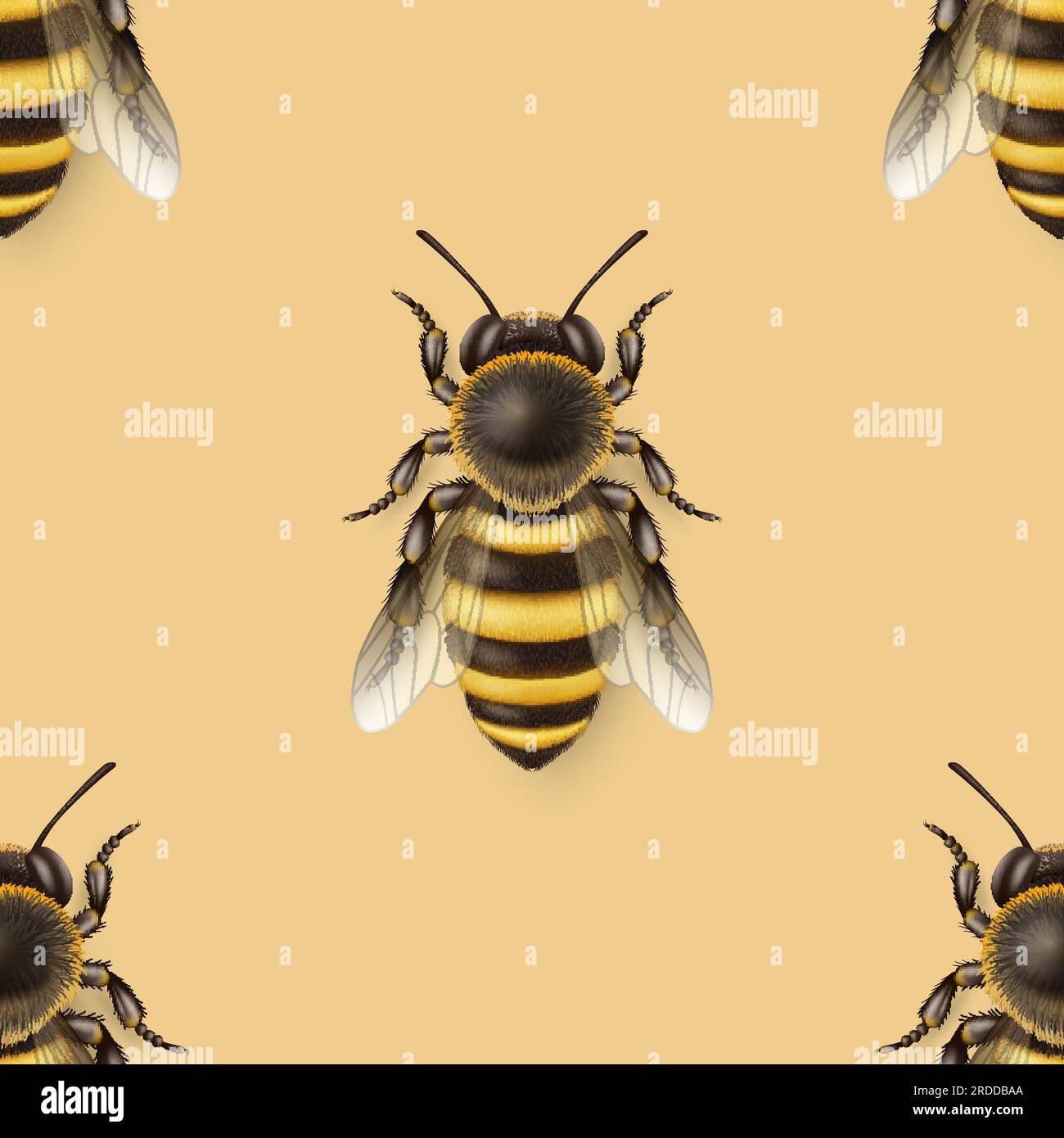Vector Seamless Pattern with 3d Realistic Detailed Honey Bee Icon ...