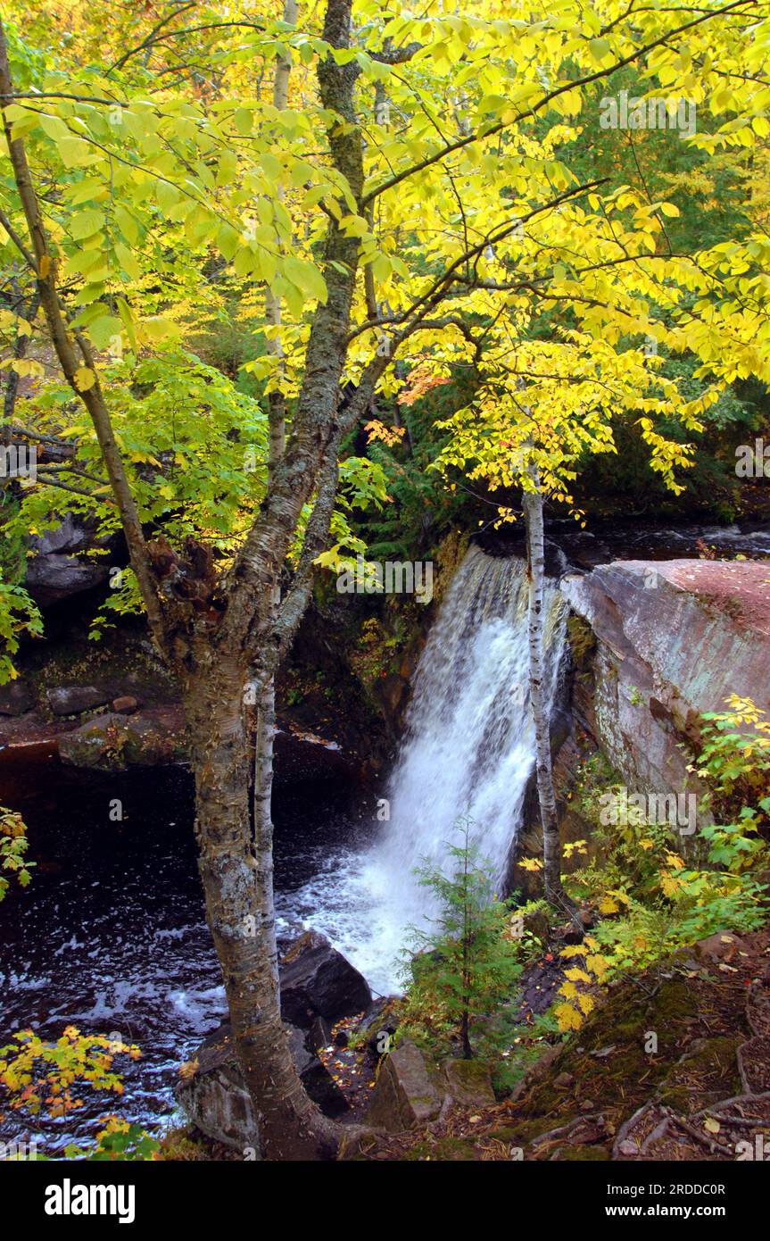 Hungarian Falls is surrounded by yellow and gold leaves as Fall colors ...
