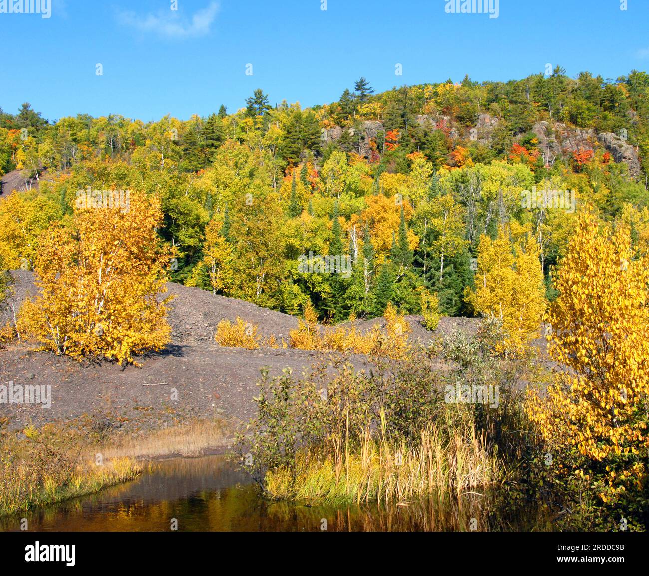 Autumn reflects in the pools and mining wastes from Cliff Mine in Upper ...