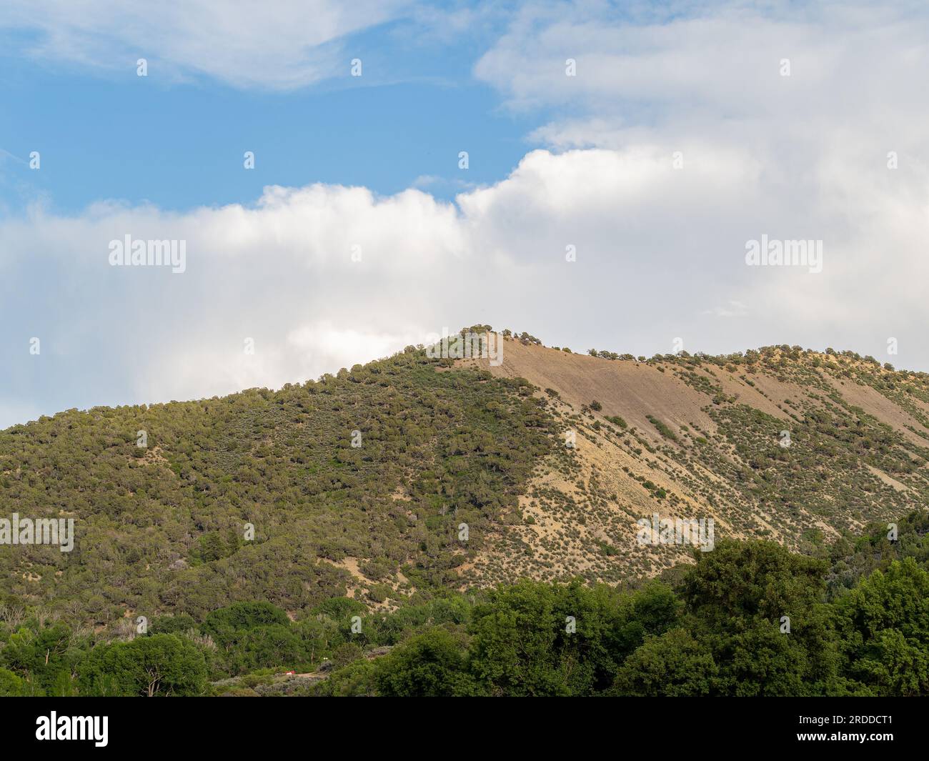 Gypsum colorado hi-res stock photography and images - Alamy