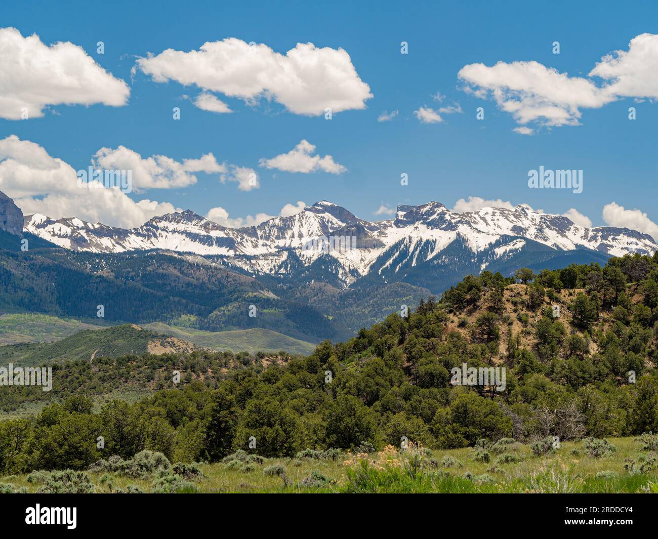 Ridgway state park colorado hi-res stock photography and images - Alamy