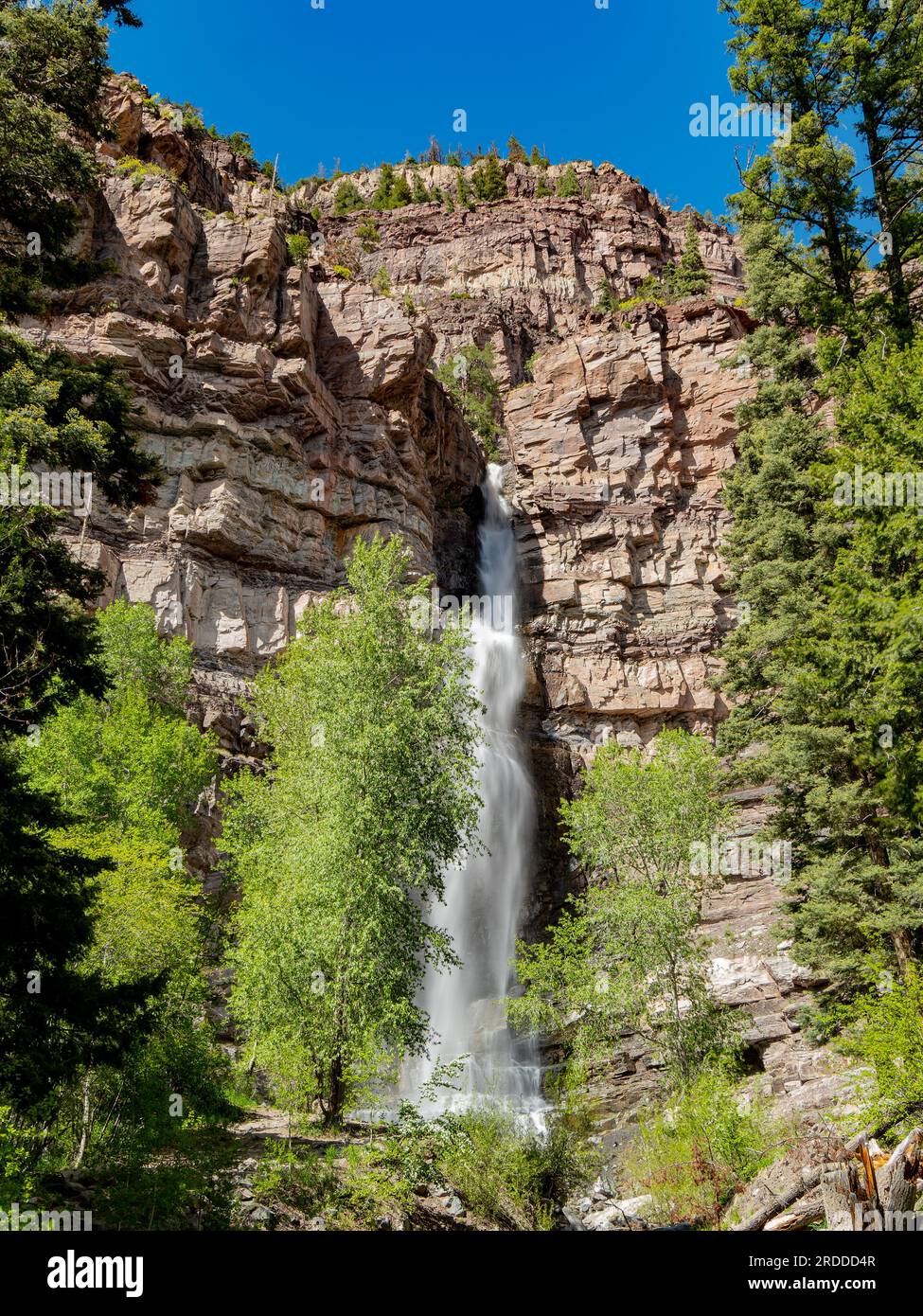 Sunny view of the Cascade Falls landscape in Ouray at Colorado Stock Photo - Alamy