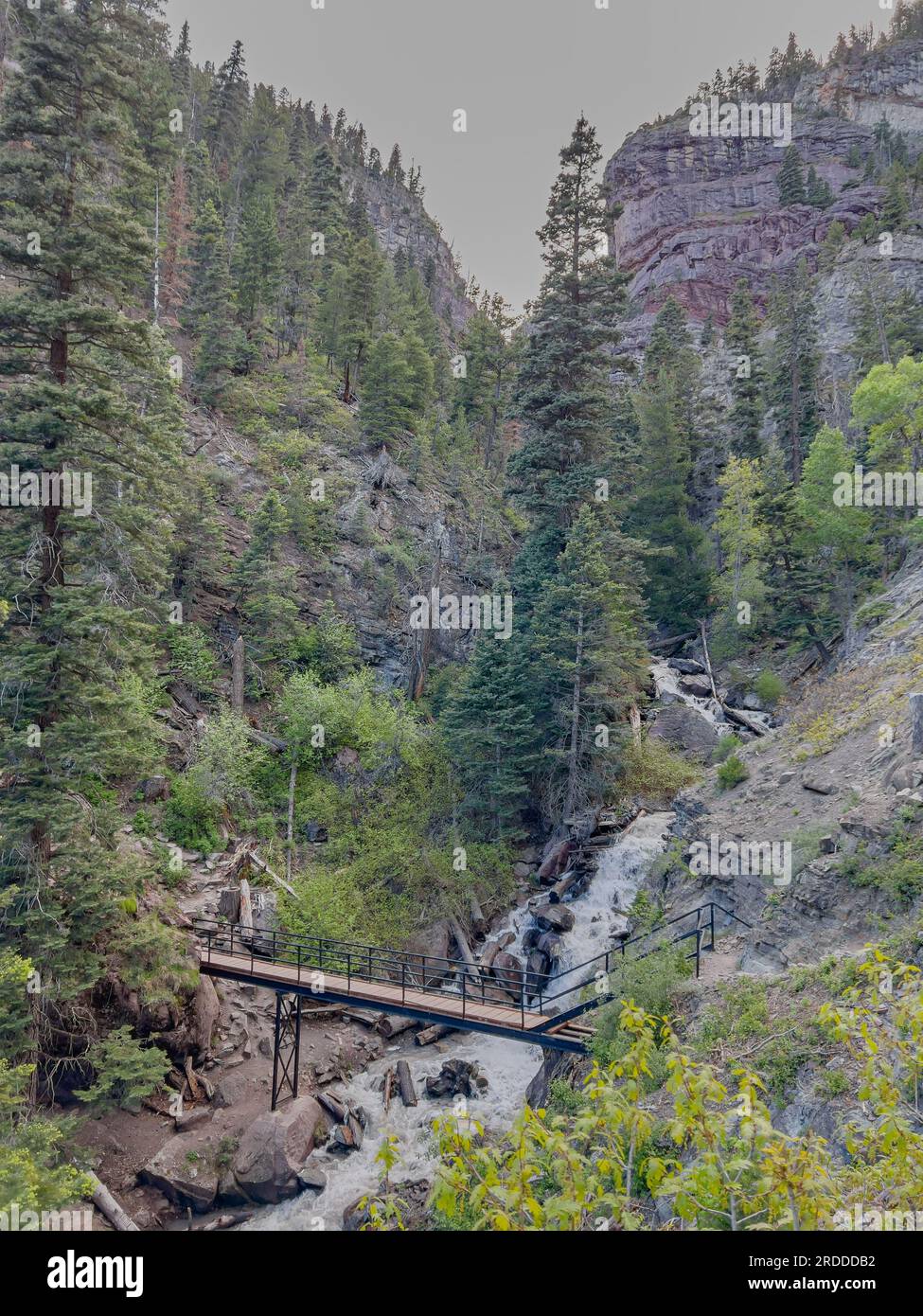 Sunny view of creek landscape around Ouray at Colorado Stock Photo - Alamy