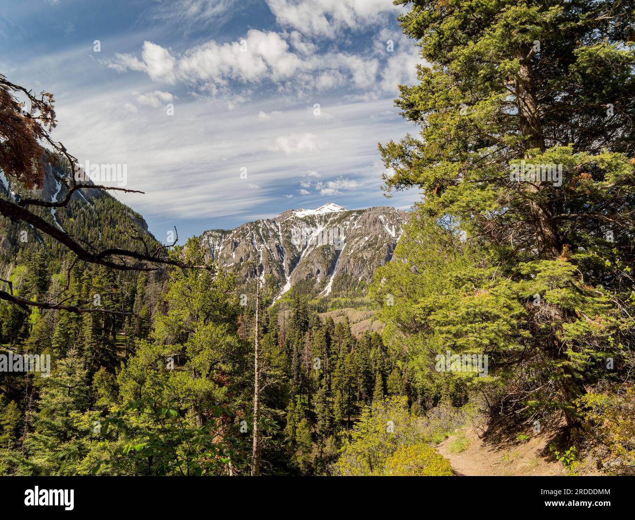 Sunny view of landscape around Ouray at Colorado Stock Photo - Alamy