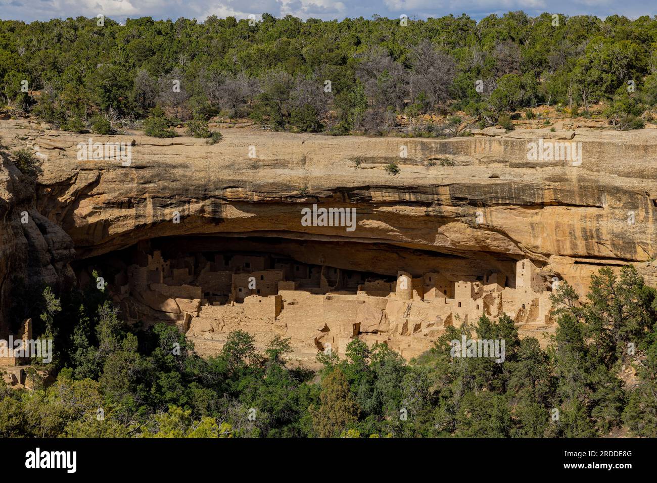Sunny view of the historical Cliff Palace in Mesa Verde National Park ...