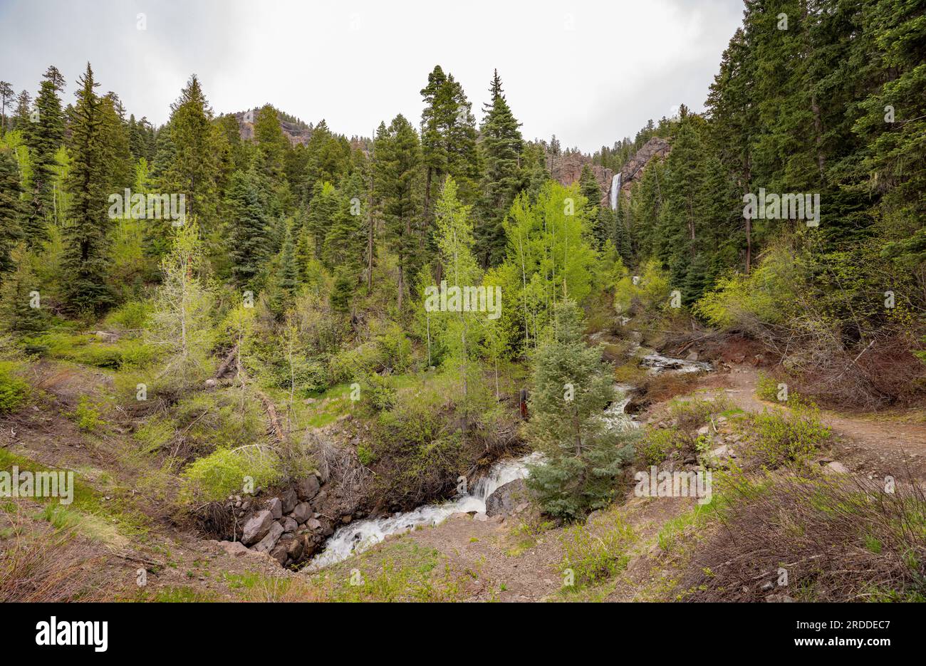 Daytime view of the landscape of Treasure Falls at Colorado Stock Photo ...