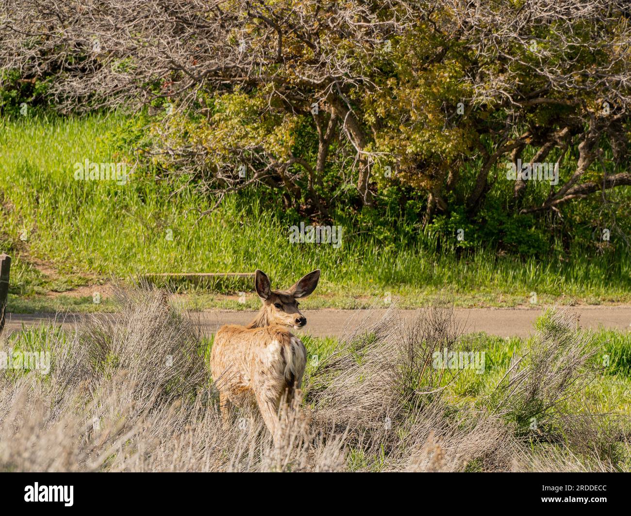 Morefield campground hi-res stock photography and images - Alamy