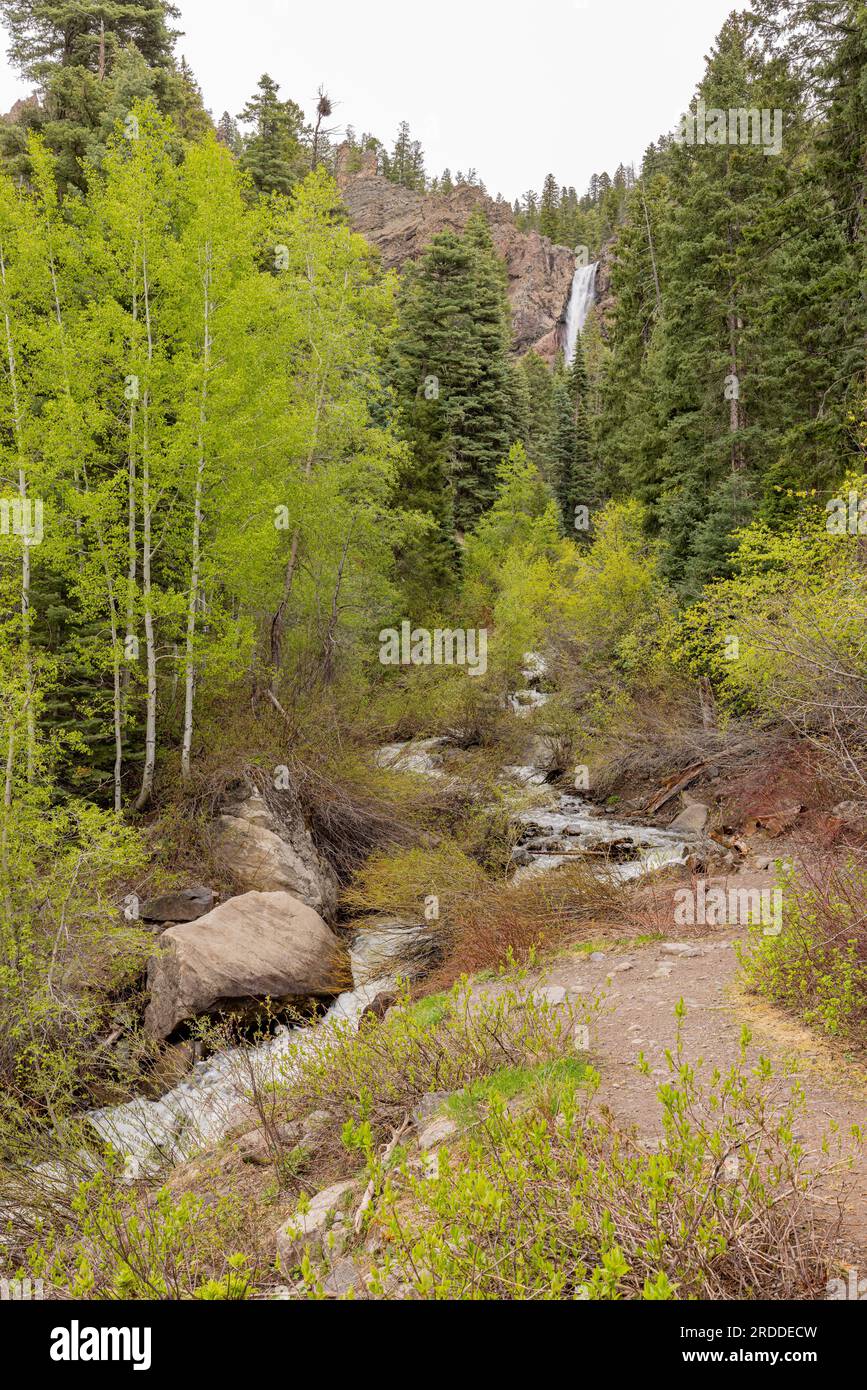Daytime view of the landscape of Treasure Falls at Colorado Stock Photo ...