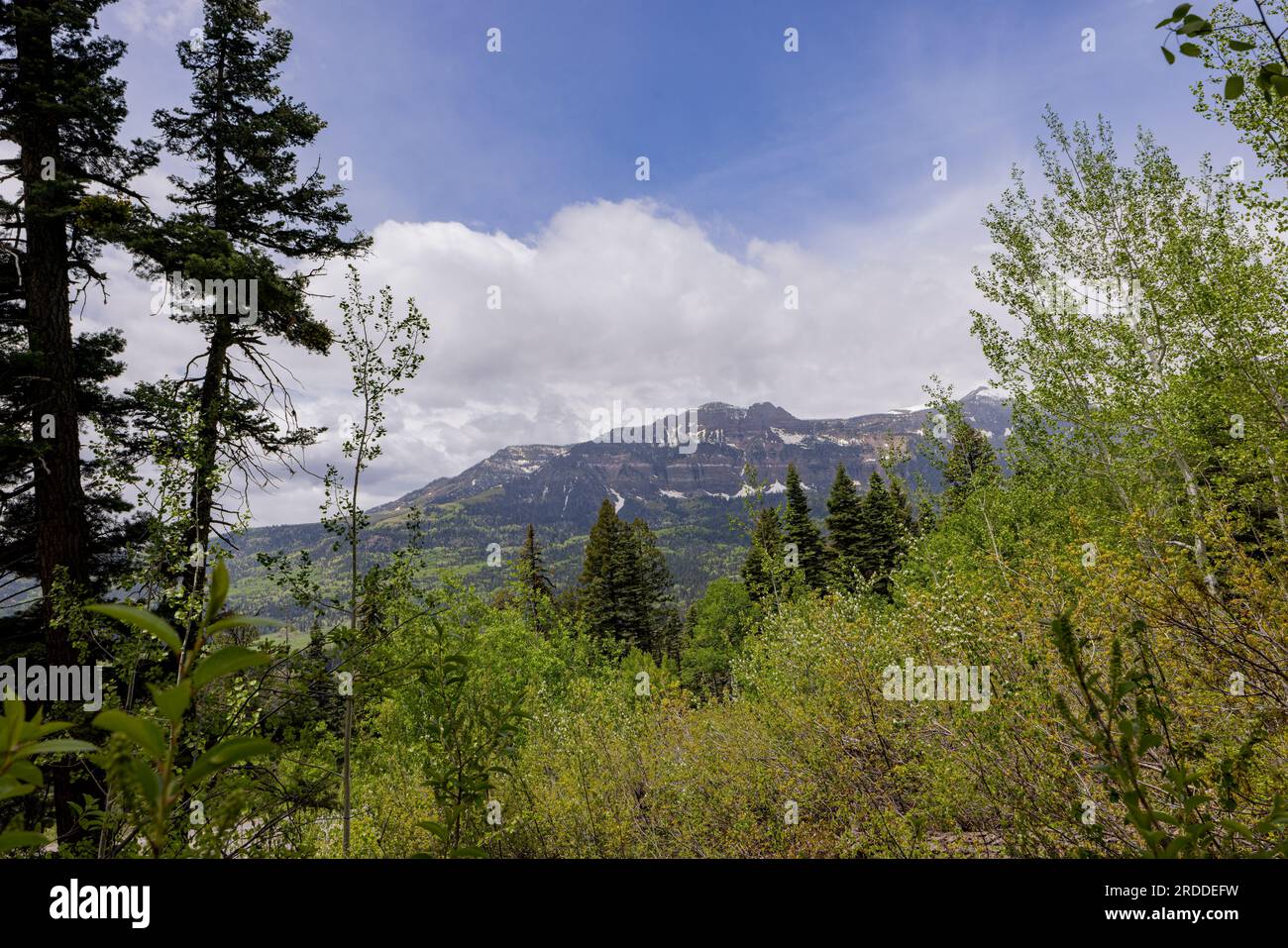 Daytime view of the landscape of Treasure Falls at Colorado Stock Photo ...