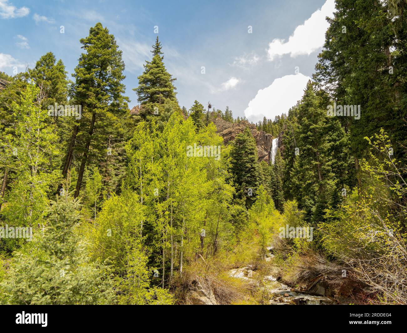 Daytime view of the landscape of Treasure Falls at Colorado Stock Photo ...