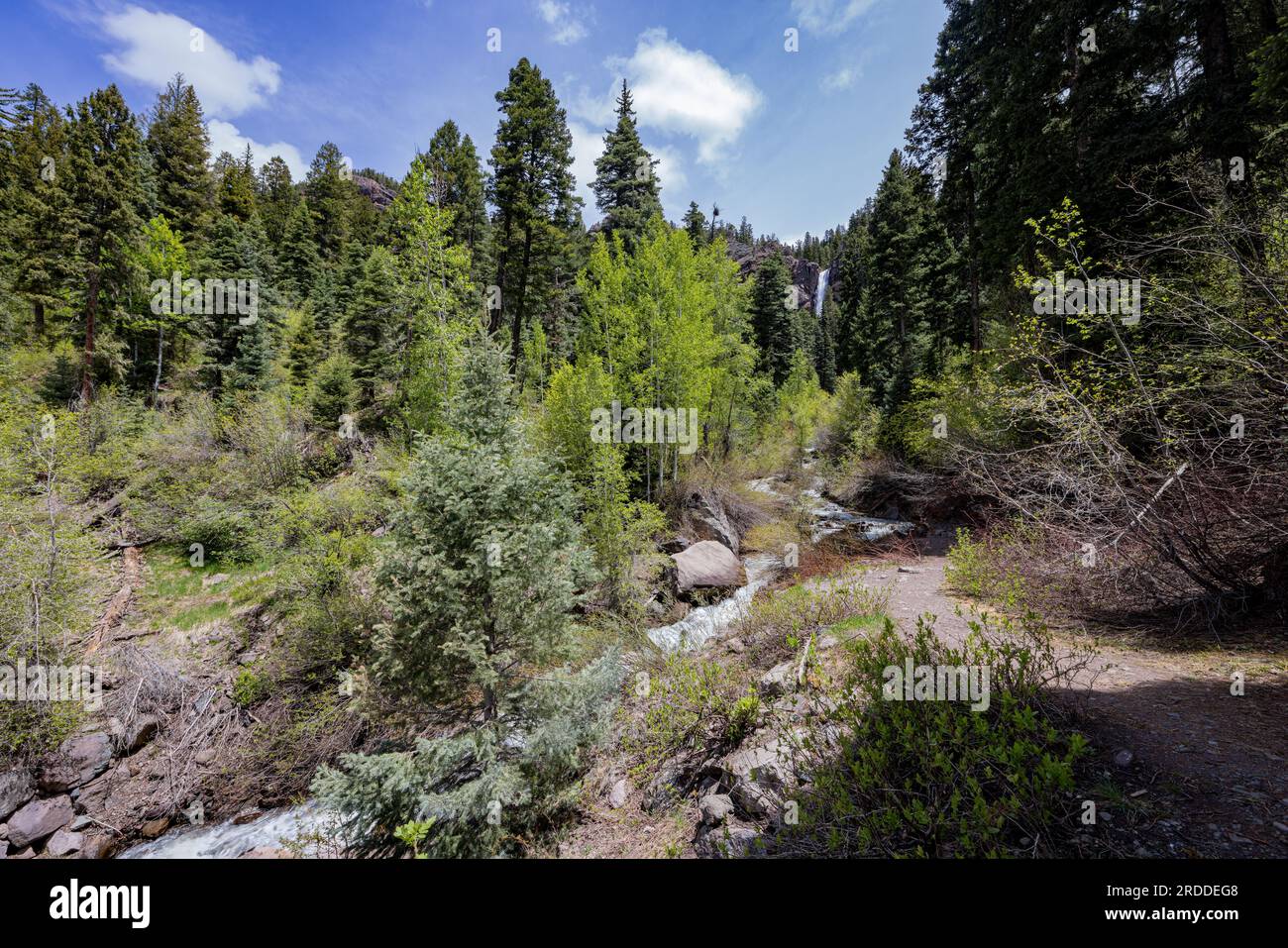 Daytime view of the landscape of Treasure Falls at Colorado Stock Photo ...