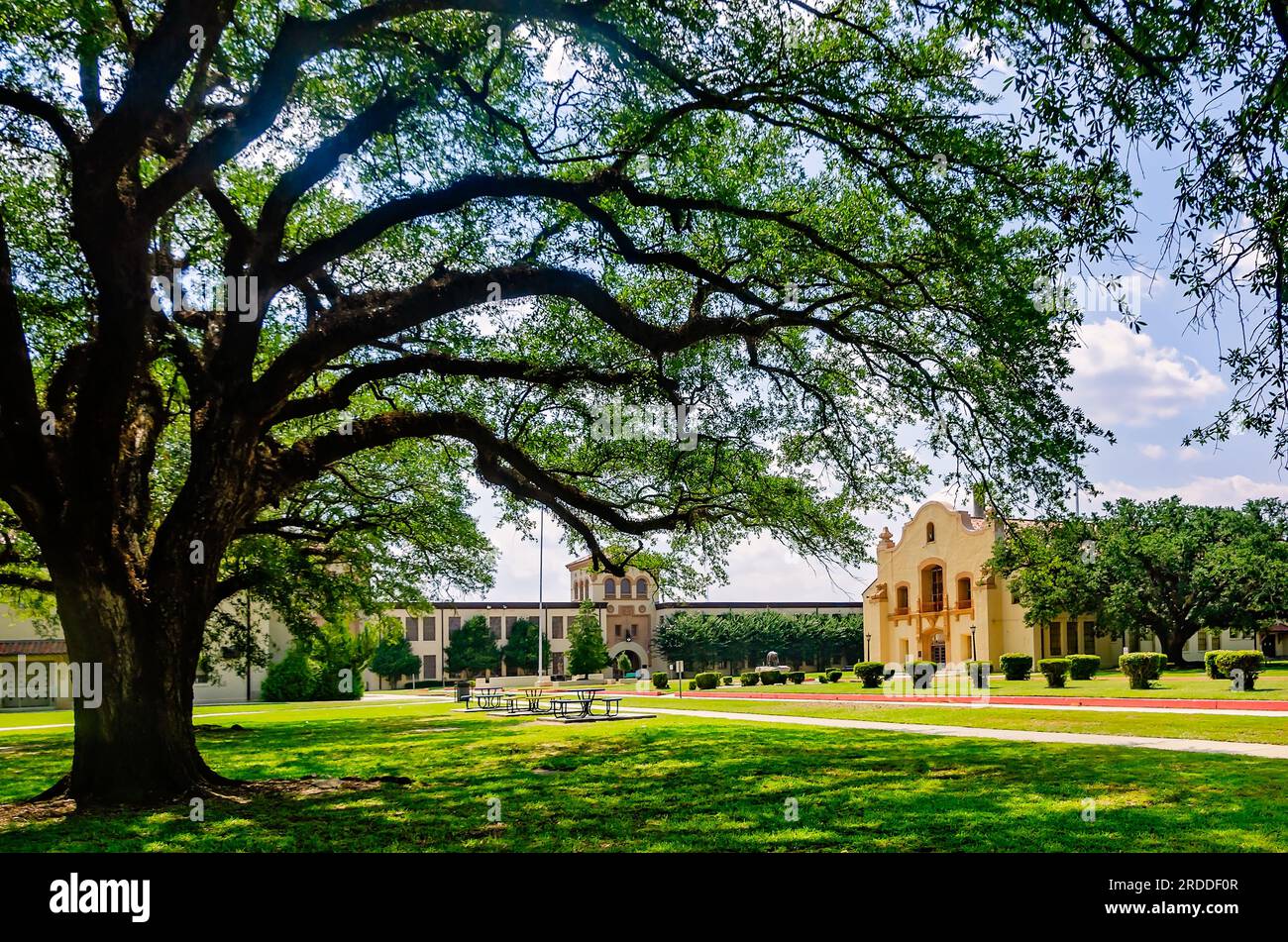 Colonial revival hi-res stock photography and images - Alamy