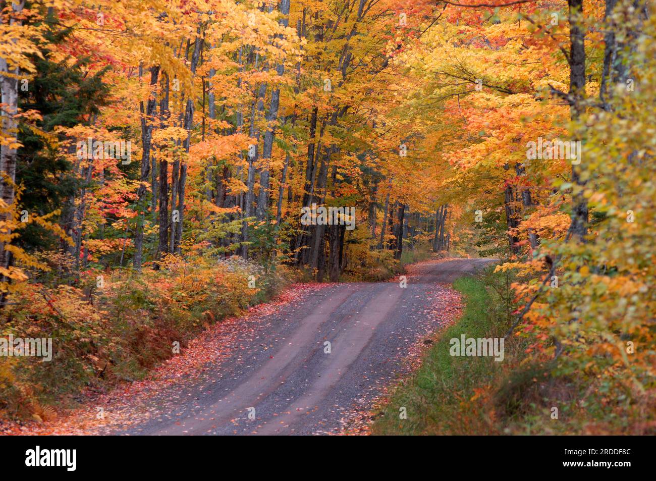 "Tunnel Road" above Houghton, Michigan dips and twists between ...