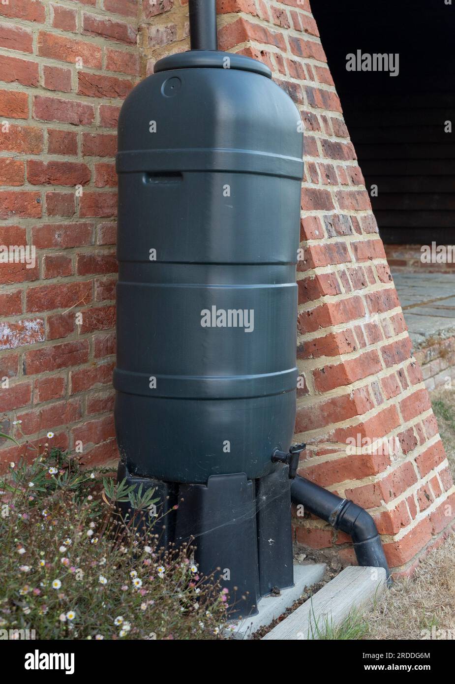 A green rain barrel to collect rainwater and reusing it to water the ...
