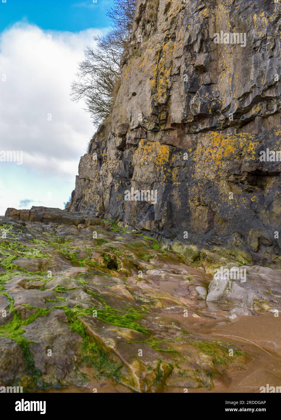 A rocky cliff face covered in Algae pictured against a blue and cloudy ...