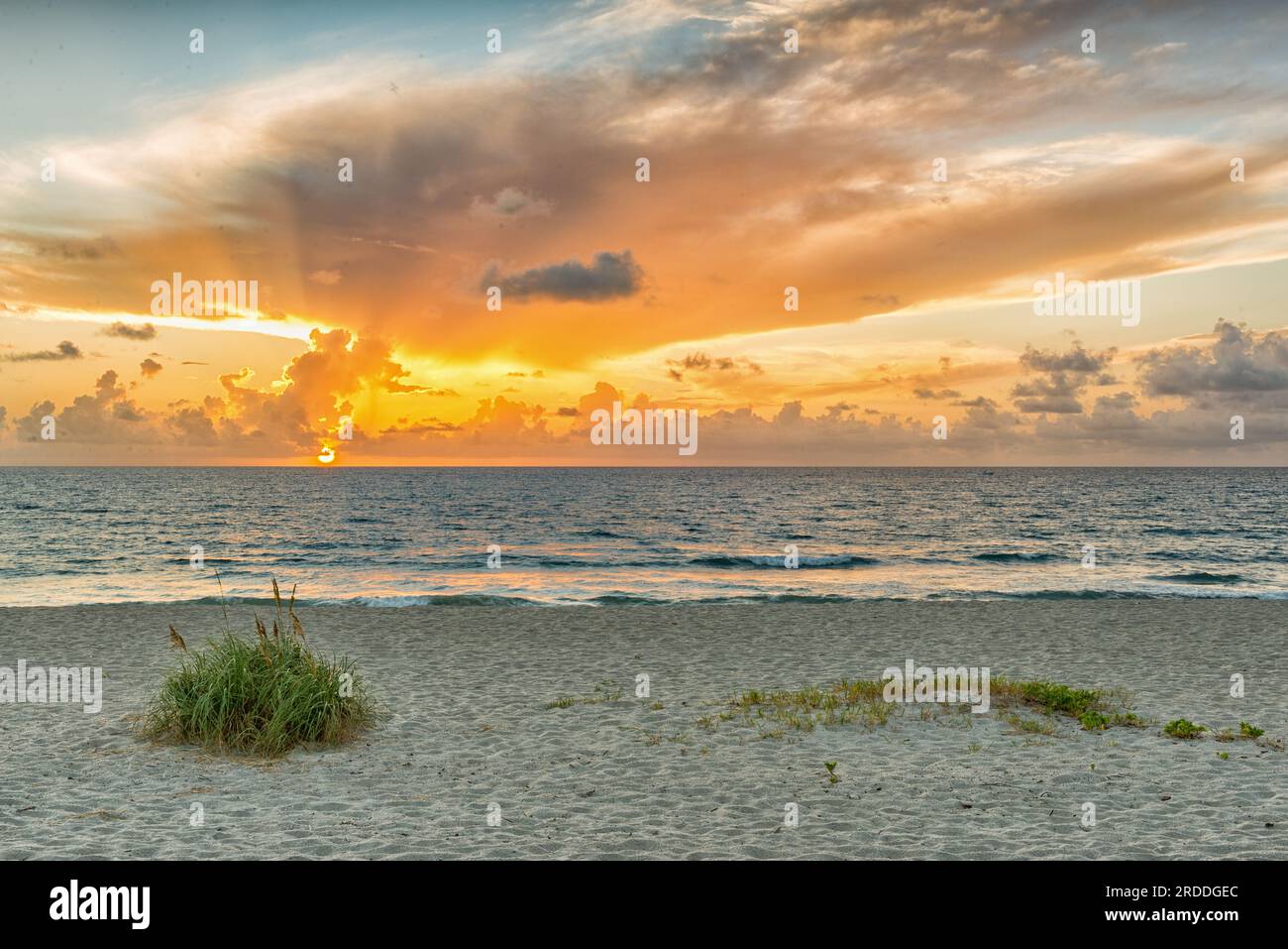 Palm beach florida juno beach hi-res stock photography and images - Alamy