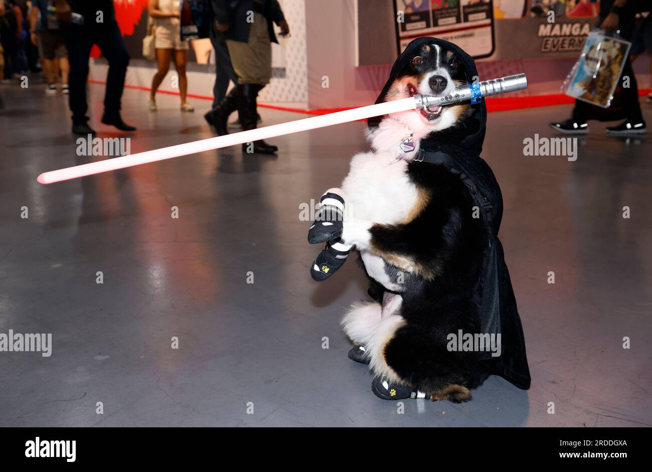 Sydney, a dog dressed as the Sith Empress from the Bark Side, attends ...