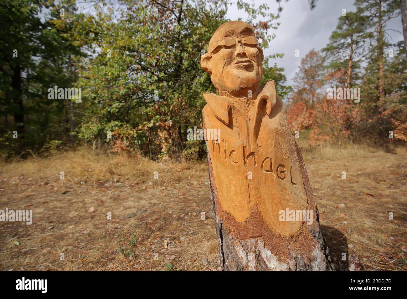 Wood carving on the tree trunk in the forest with the inscription ...