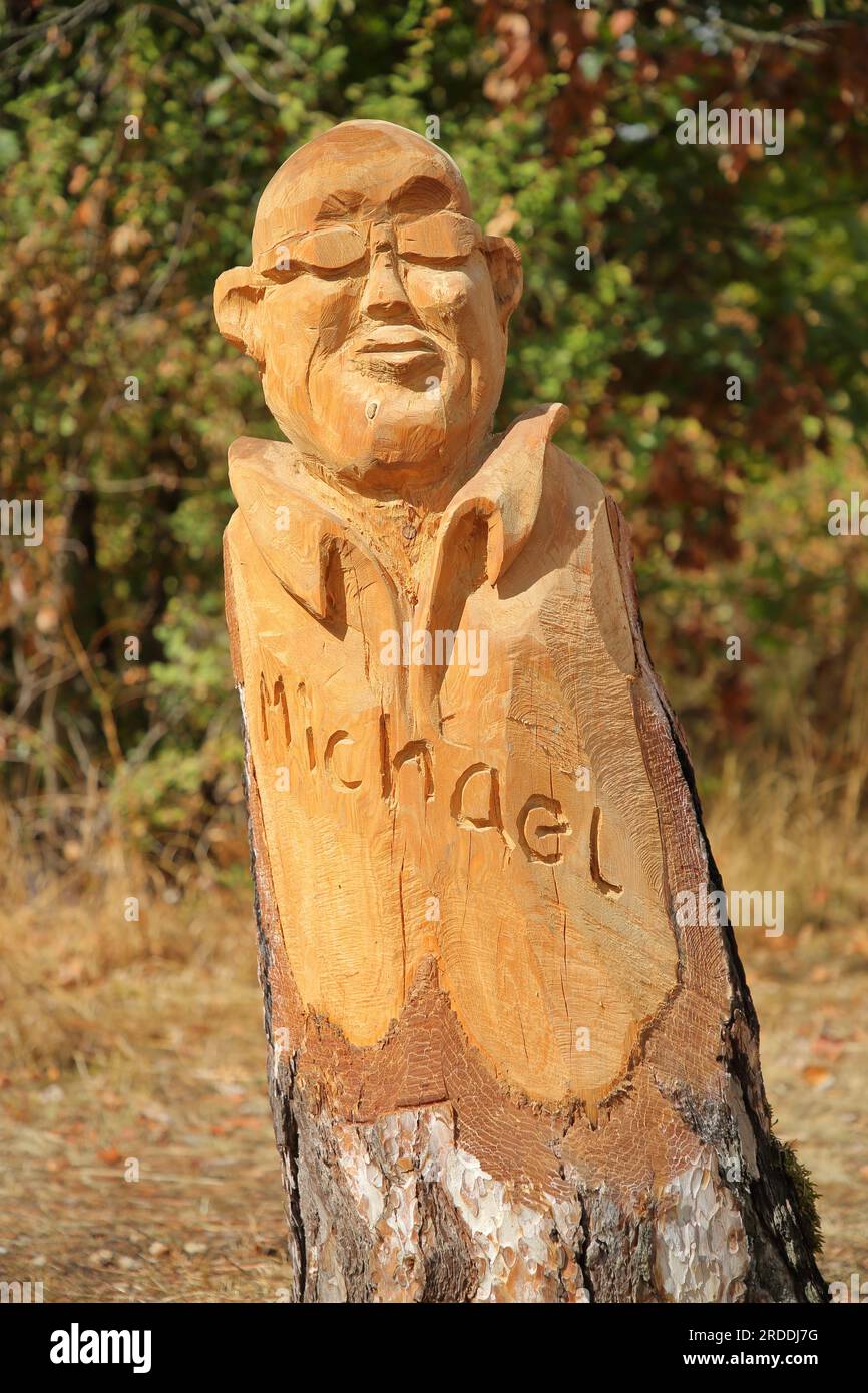 Wood carving on the tree trunk in the forest with the inscription ...