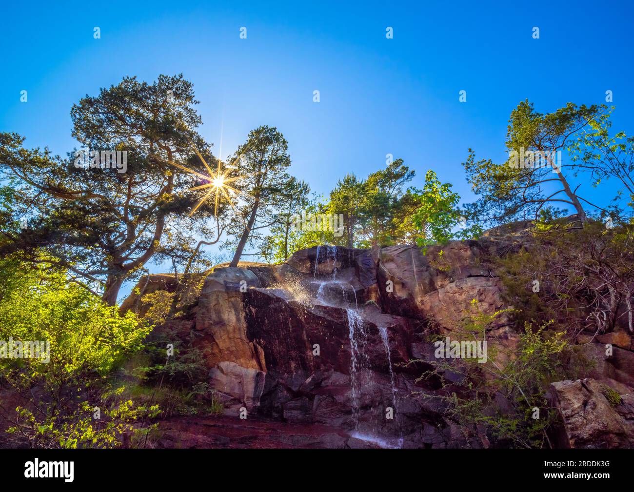 Sun star and the waterfall in botanical garden of Gothenburg in Sweden ...