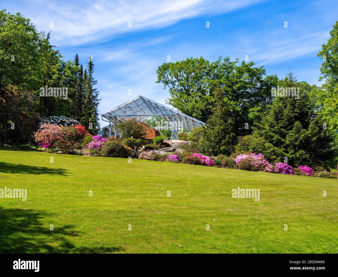 Flowering shrubs and a greenhouse in the botanical garden in Gothenburg ...