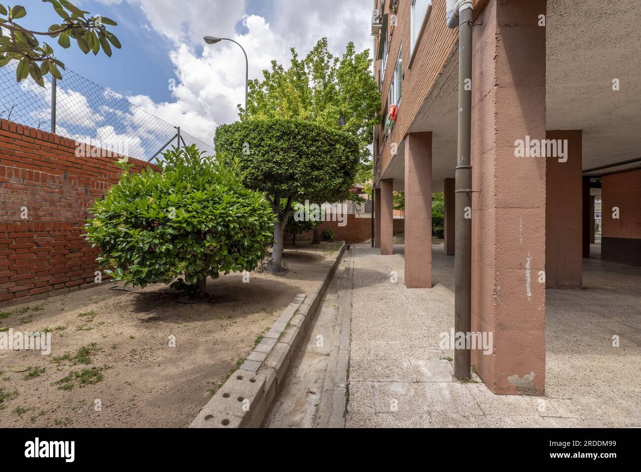 Common areas of an urban residential building with artistically pruned ...