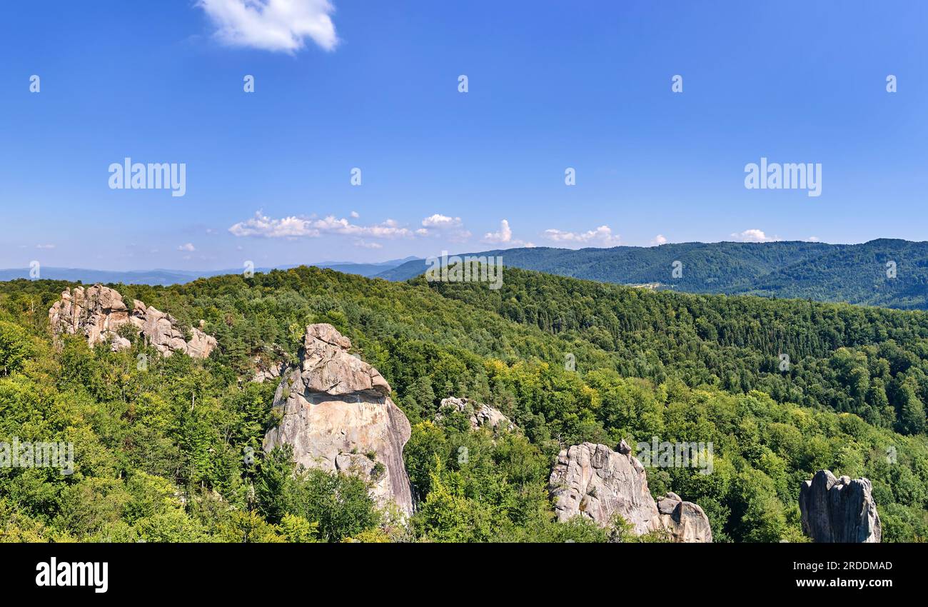 Aerial view of bright landscape with green forest trees and big rocky ...