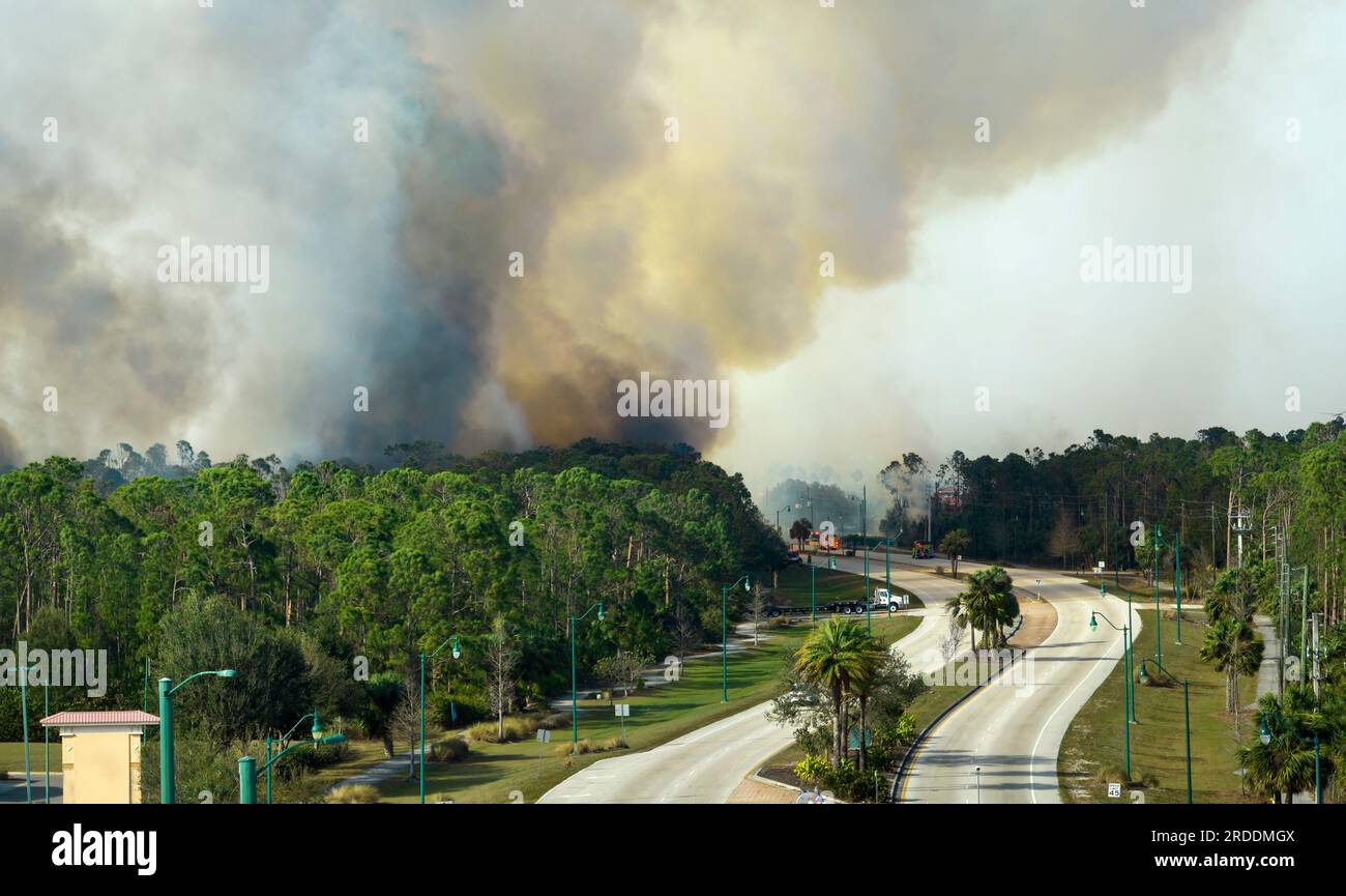Aerial view of fire department firetrucks extinguishing wildfire ...