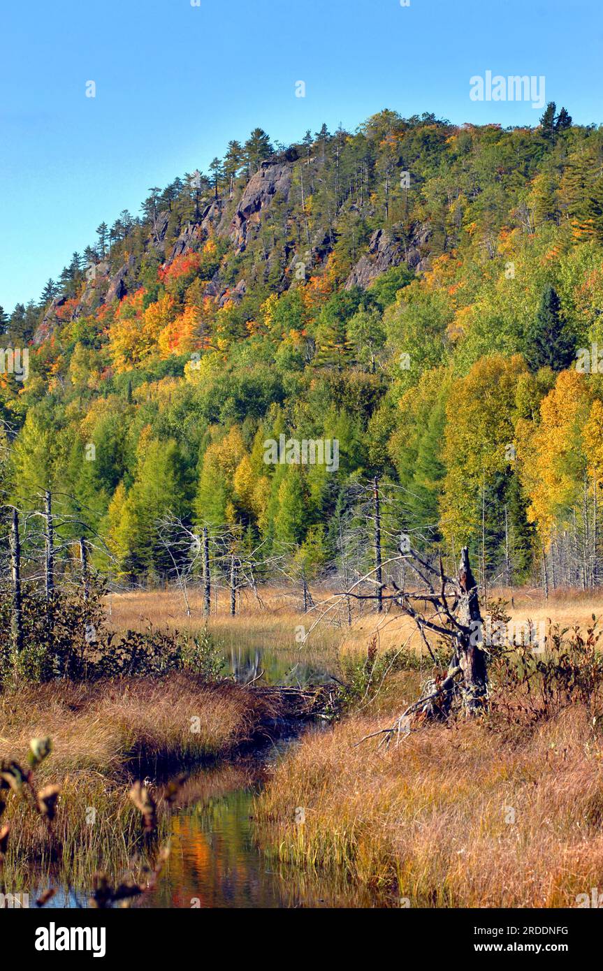 Summer turns to Autumn in Upper Peninsula, Michigan. Brook twists into ...