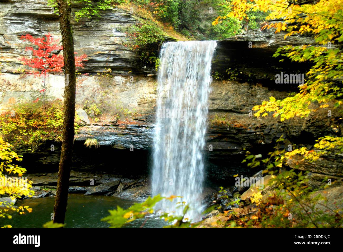 Bohemian Falls, in Upper Penninsula, Michigan, is surrounded by the ...