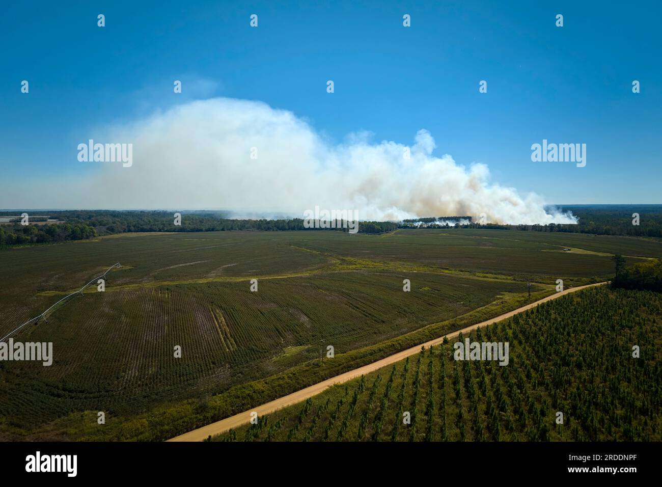 Aerial view of white smoke from forest fire rising up polluting ...
