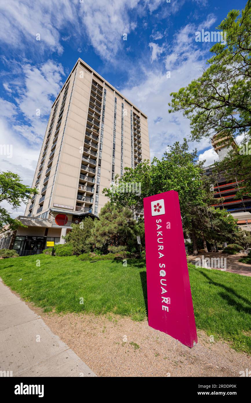 Sakura square hi-res stock photography and images - Alamy