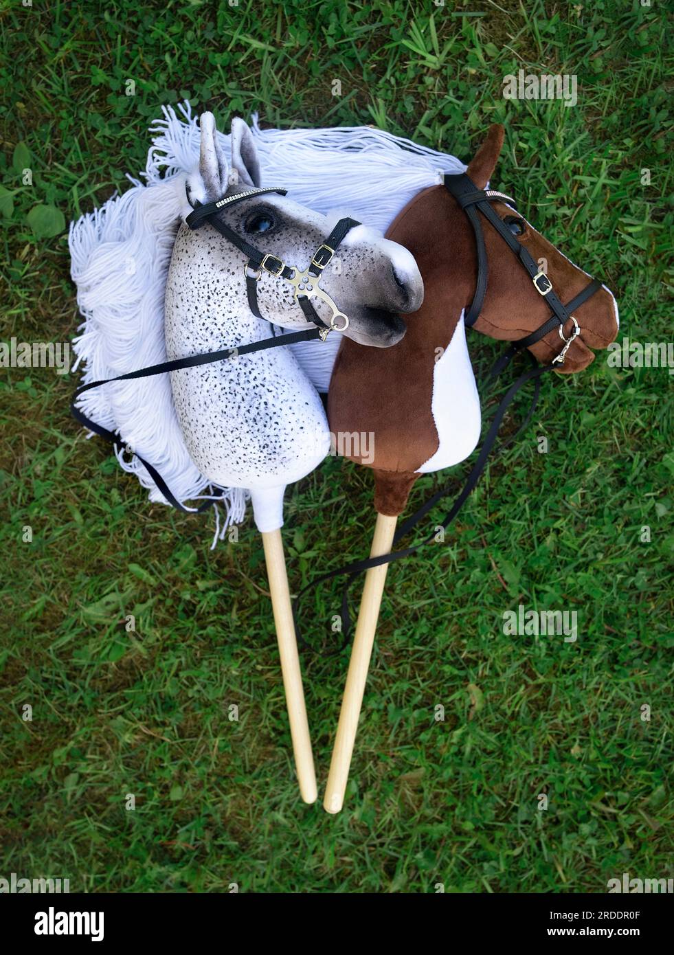 Two hobby horses are waiting for the riders. Equestrian sports ...