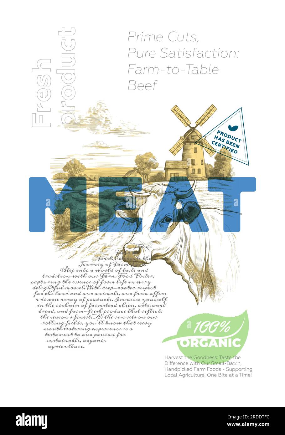 Beef shop poster. Vintage sketch cow head on village mill backdrop ...