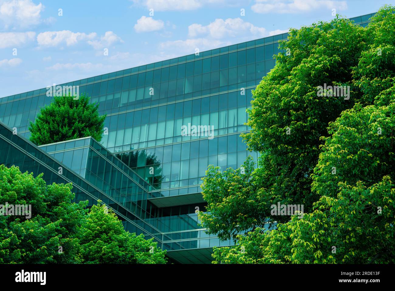 Eco-friendly building in the modern city. Sustainable glass office ...