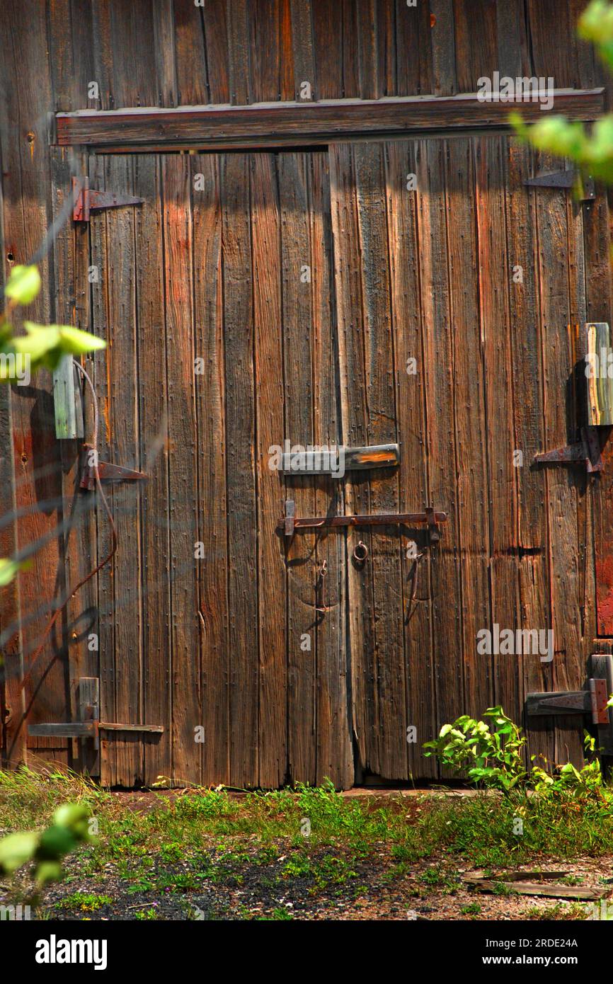 Closed barn doors have metal hooks and hinges. Weathered boards are ...