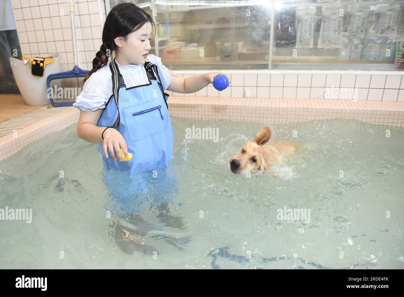 **CHINESE MAINLAND, HONG KONG, MACAU AND TAIWAN OUT** A dog plays in a ...