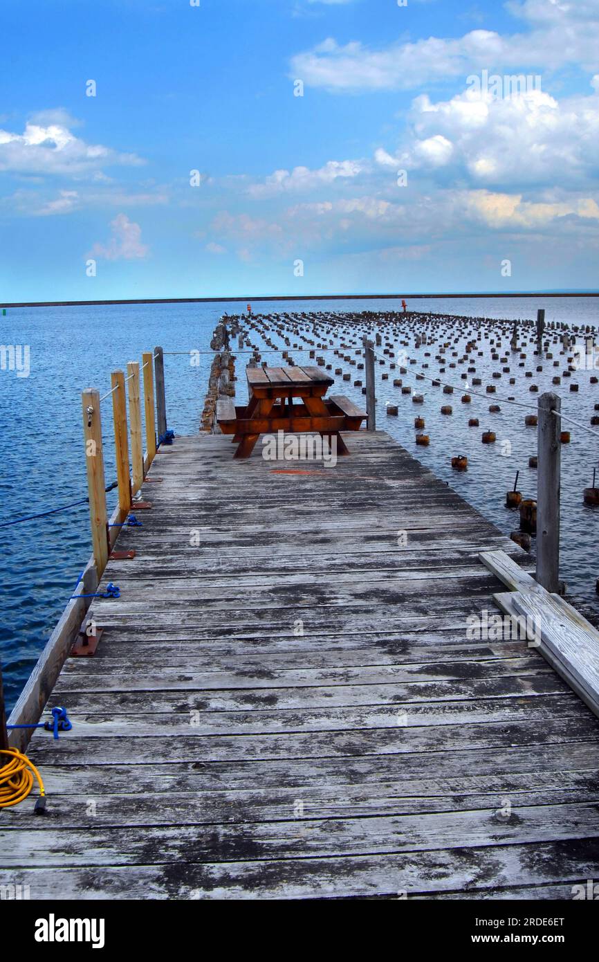 Seagulls on picnic table hi-res stock photography and images - Alamy