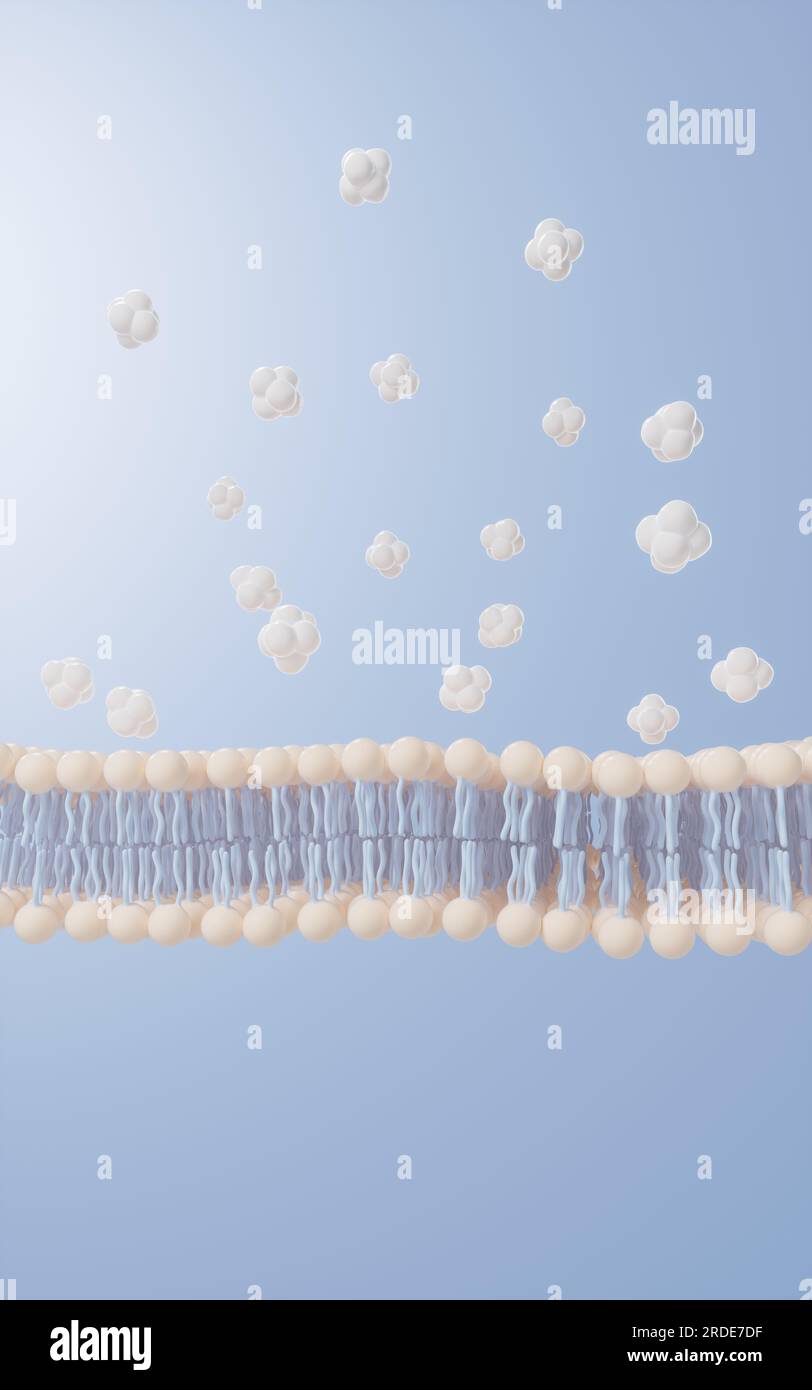 Cell membrane structure background, 3d rendering. Digital drawing Stock ...
